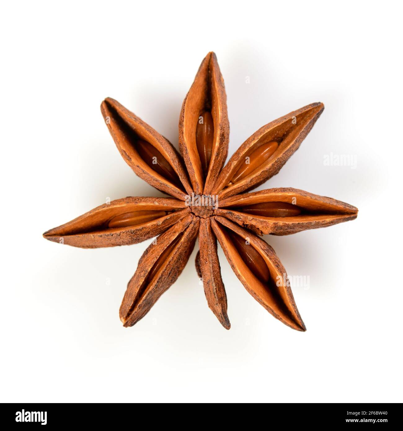 Star anise. Single star anise fruit. Macro close-up Isolated on white ...