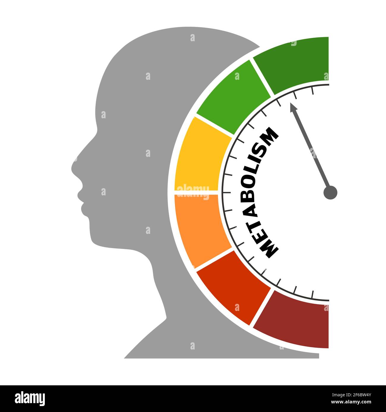 Metabolism level scale with arrow. The measuring device. Sign ...