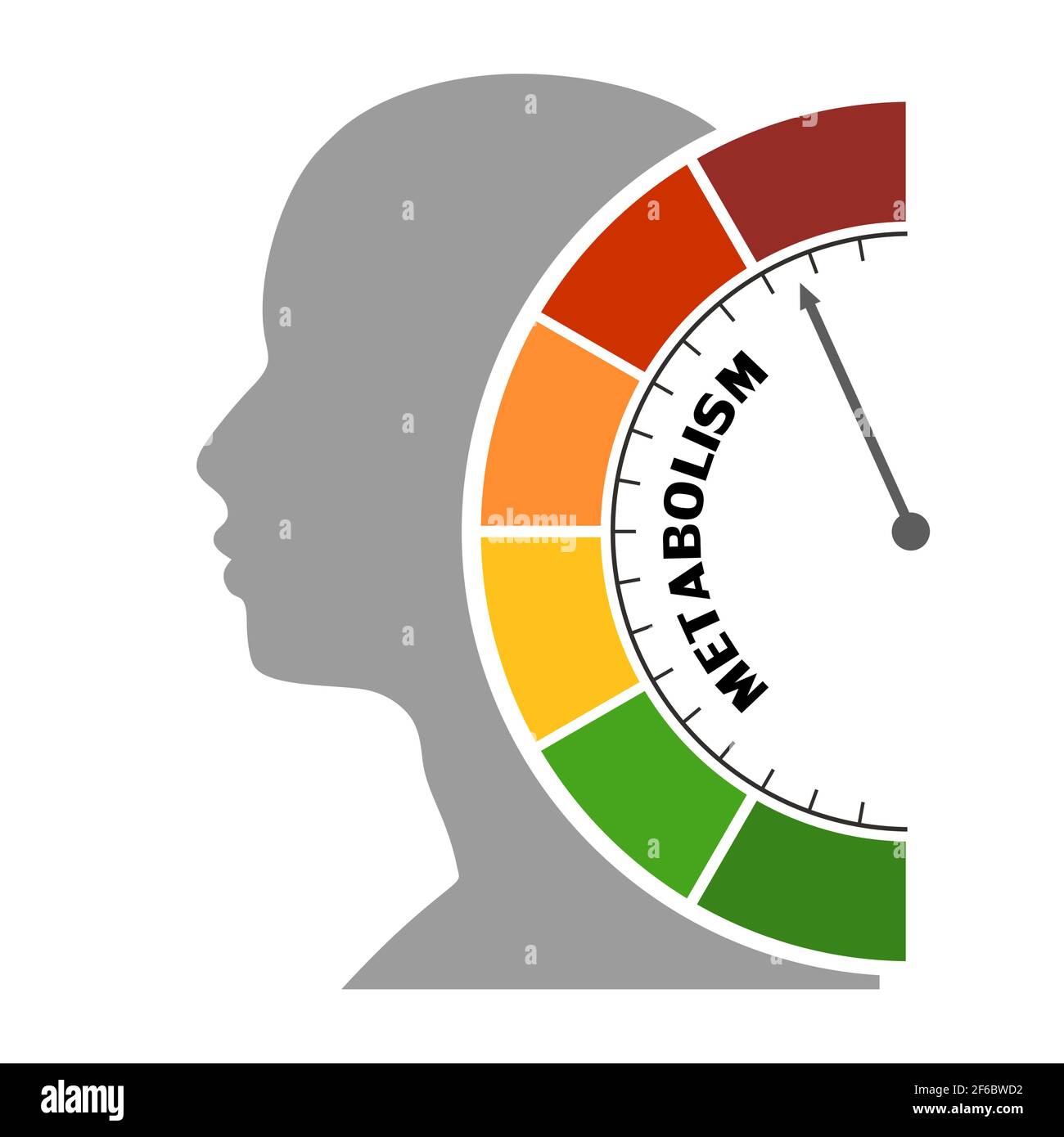 Metabolism level scale with arrow. The measuring device. Sign ...