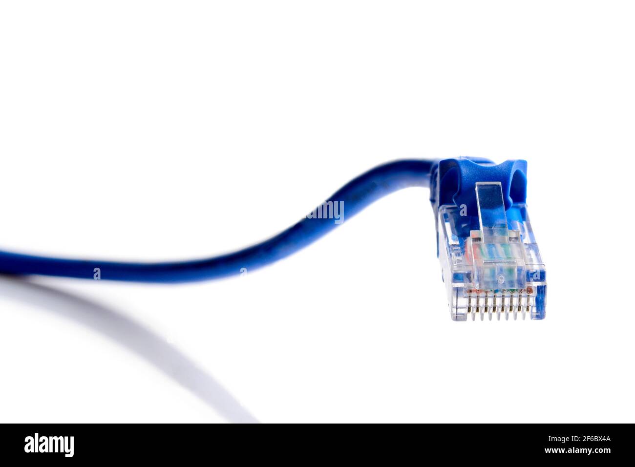 Connector rj-45 on blue patch cord for network LAN ethernet connection ...