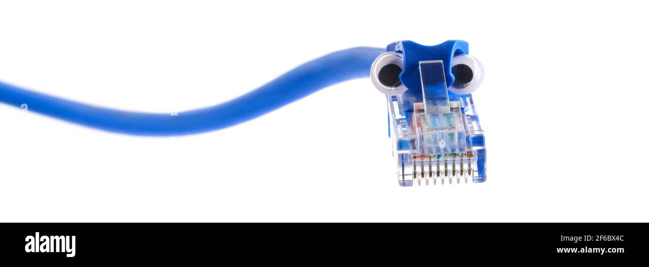 Connector rj-45 on blue patch cord. Snake-shaped plug with funny googly ...