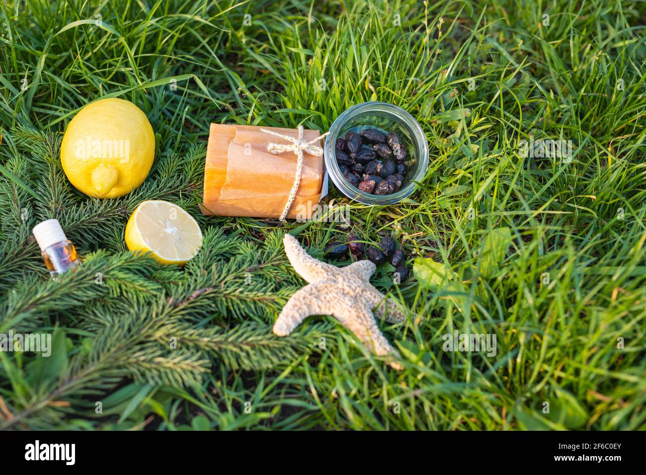 Composition of shells, starfish, soap and lemon slices. On a green ...