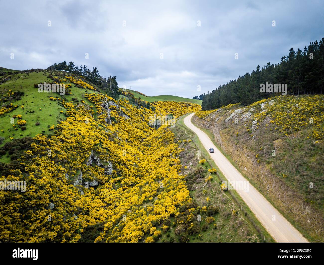 Desert road new zealand hi-res stock photography and images - Alamy