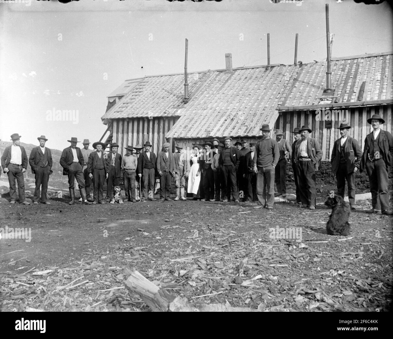 Labor type from the construction period. The national border rail Stock ...