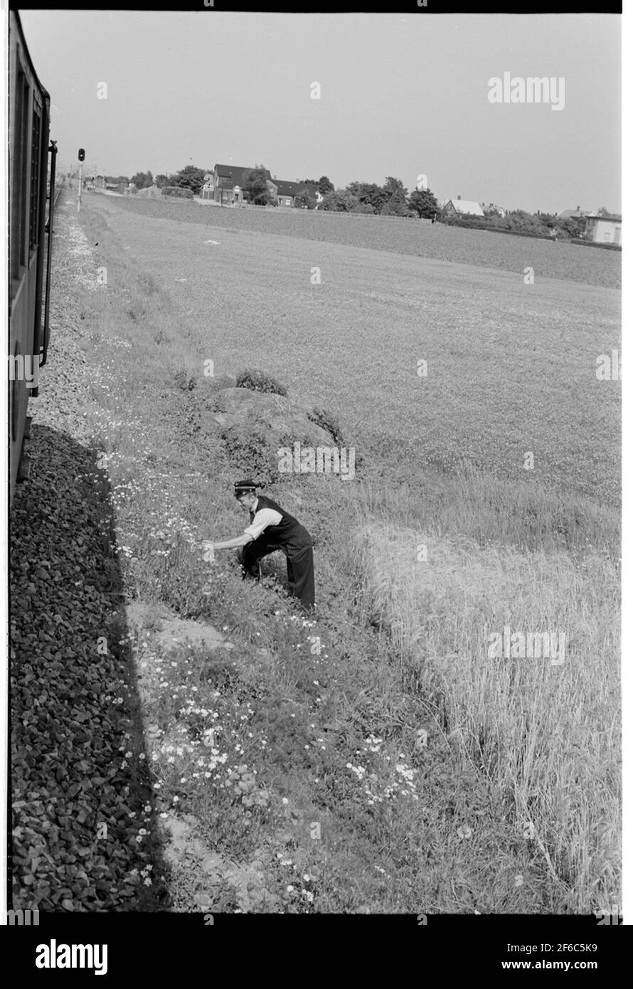 Slope maintenance Black and White Stock Photos & Images - Alamy