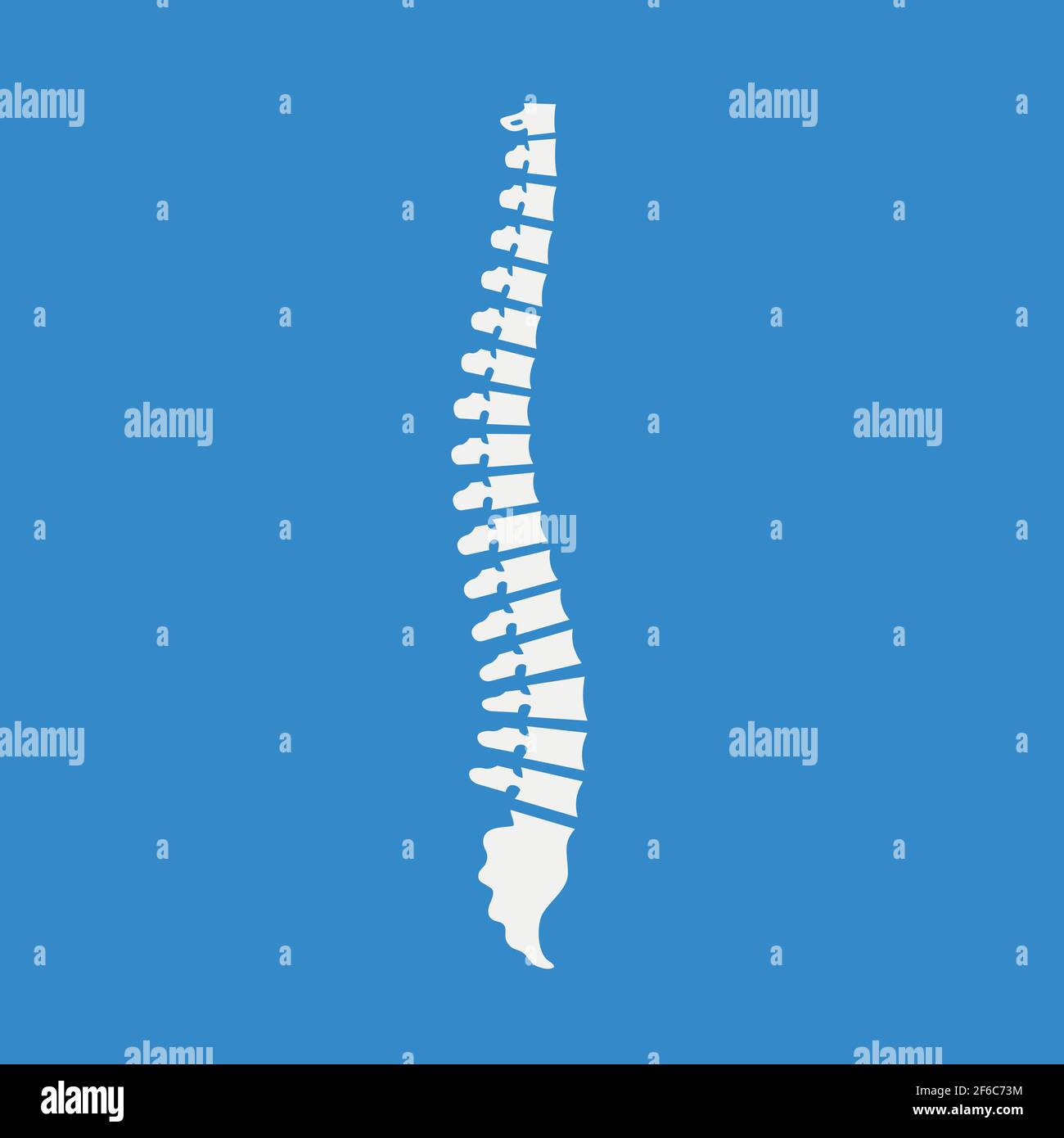 Spine anatomy Stock Vector Images - Alamy