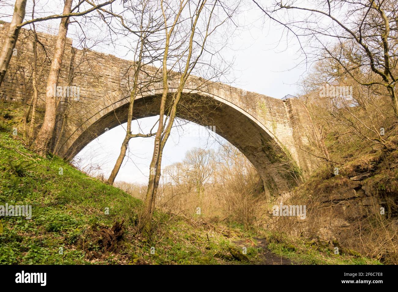 Causey Arch the world's oldest surviving railway bridge. Near Stanley ...