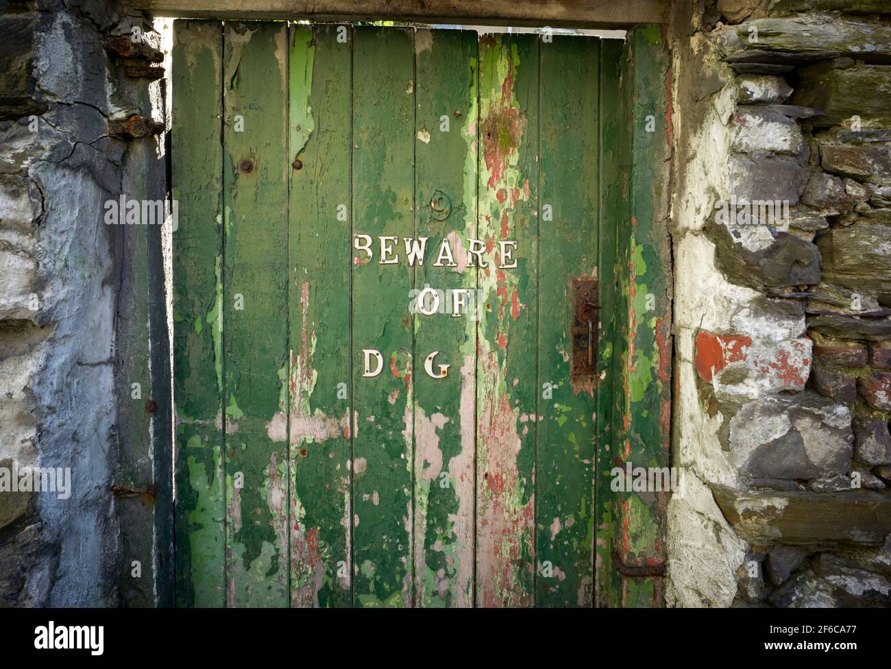 Beware of dog sign on a green door Stock Photo - Alamy