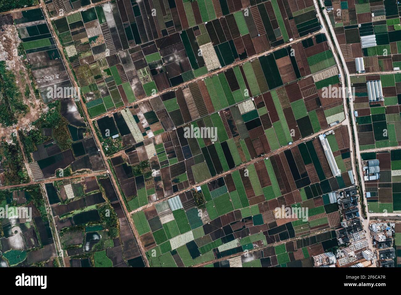 Aerial community vegetable garden hi-res stock photography and images ...