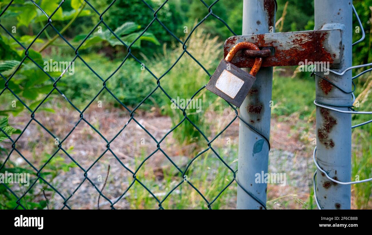 Rusty lock on a wire fence with blurred greenery in the background ...
