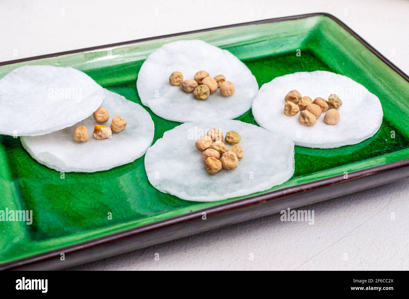 Pre germination hi-res stock photography and images - Alamy