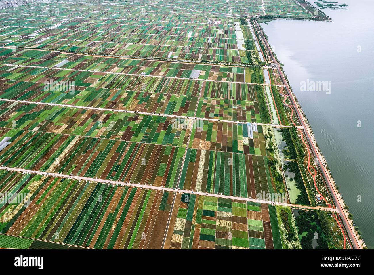 aerial view of agricultural plots of land under cultivation in ...