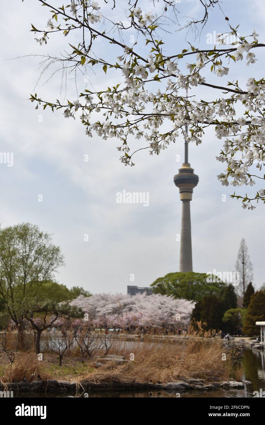 Yuyuantan park beijing park hi-res stock photography and images - Alamy