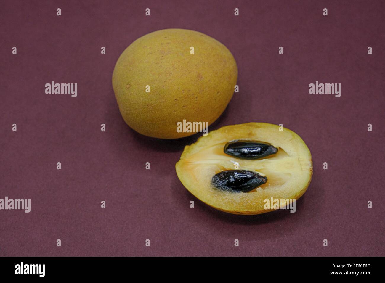 chikoo sapato brown fruit from india Stock Photo - Alamy