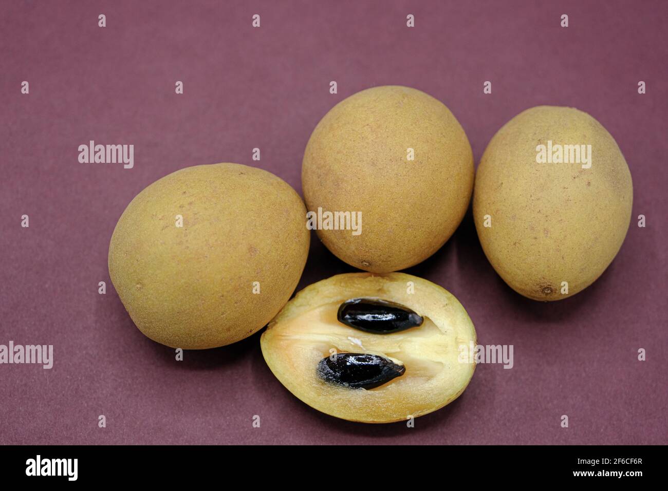 chikoo sapato brown fruit from india Stock Photo - Alamy