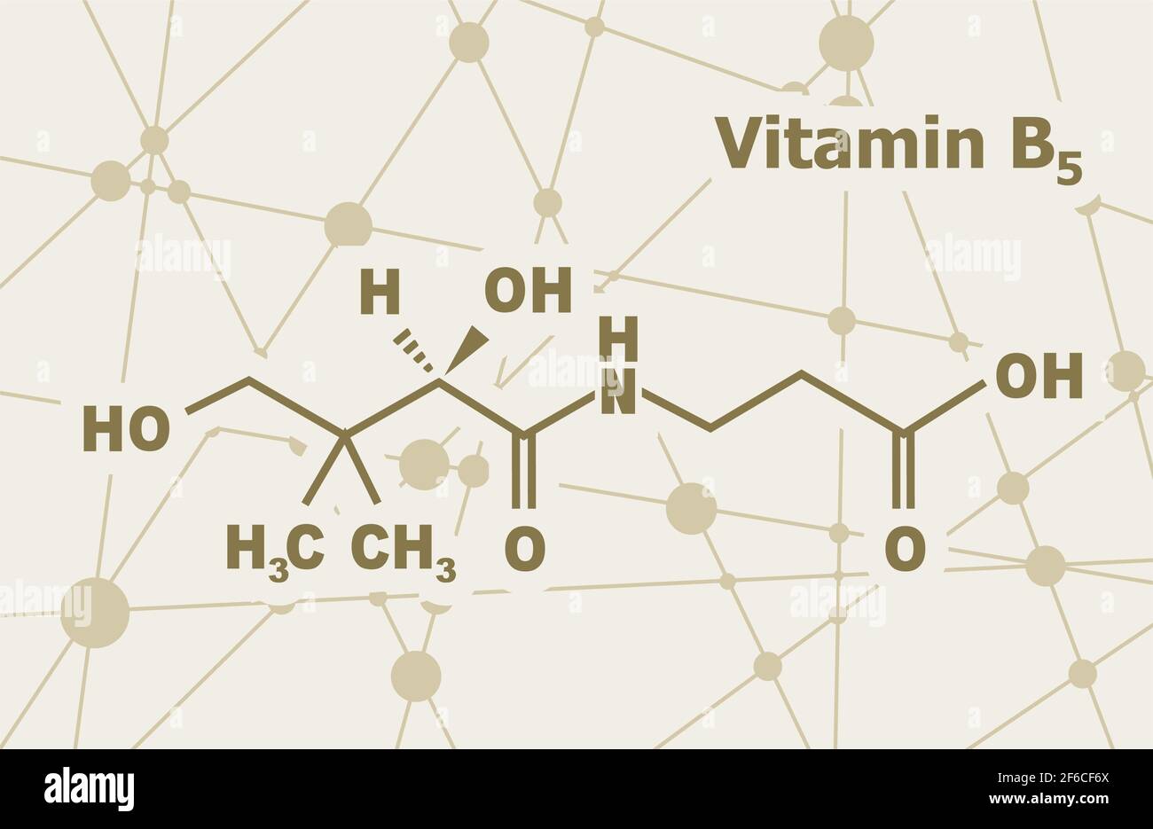 Pantothenic acid or vitamin B5 structural chemical formula. Connected ...