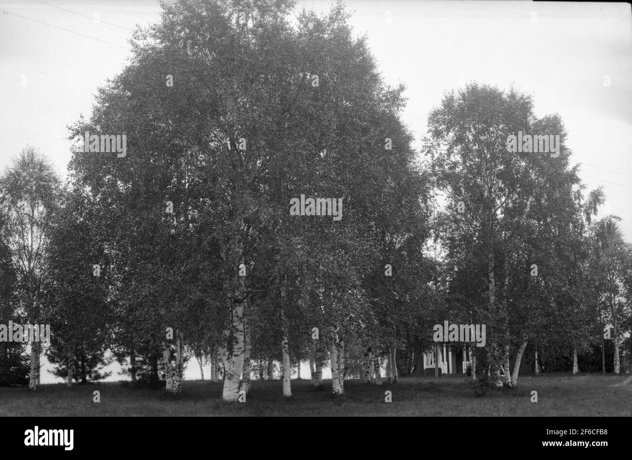 Bankeeves cottage 324b. At Morjärv Stock Photo - Alamy