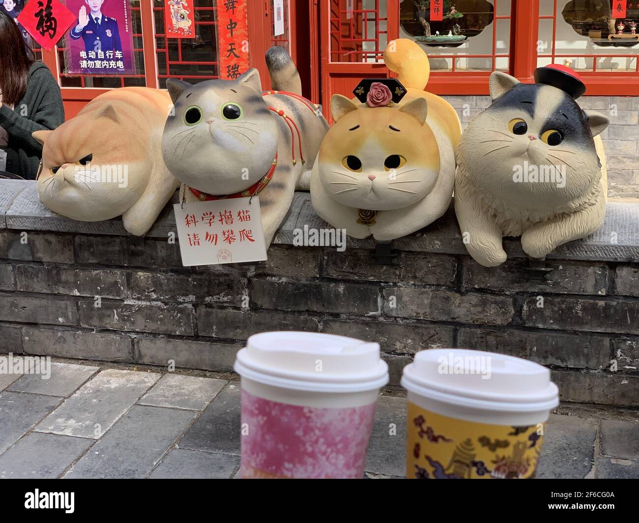 Cat on post box hi-res stock photography and images - Alamy