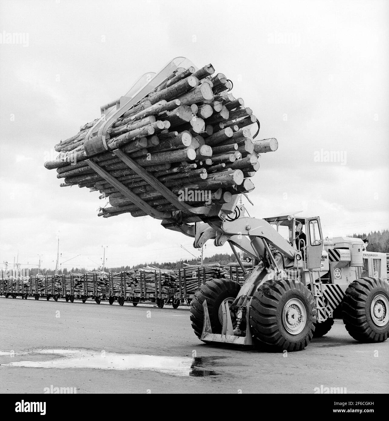 Unloading. SCA, TAFT terminal Stock Photo - Alamy