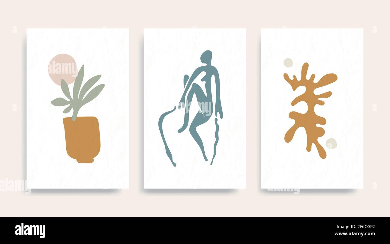 Matisse Line Drawings Woman