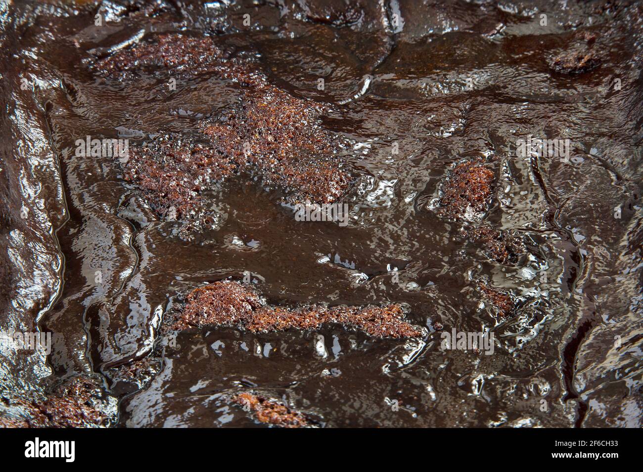 Traditional Finnish Easter dessert, mämmi, made of rye flour, and ...