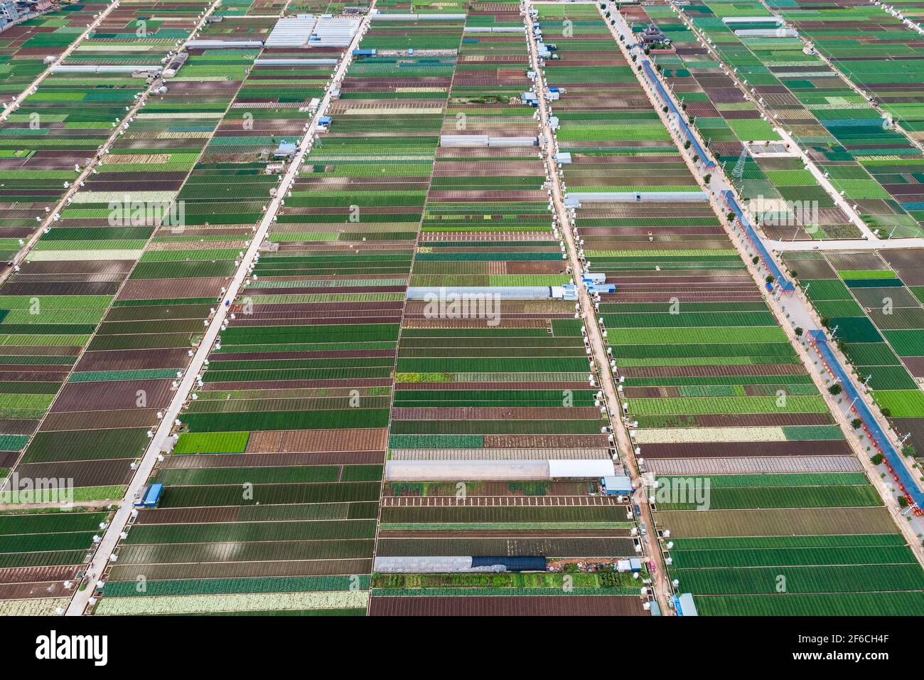 aerial view of agricultural plots of land under cultivation in ...