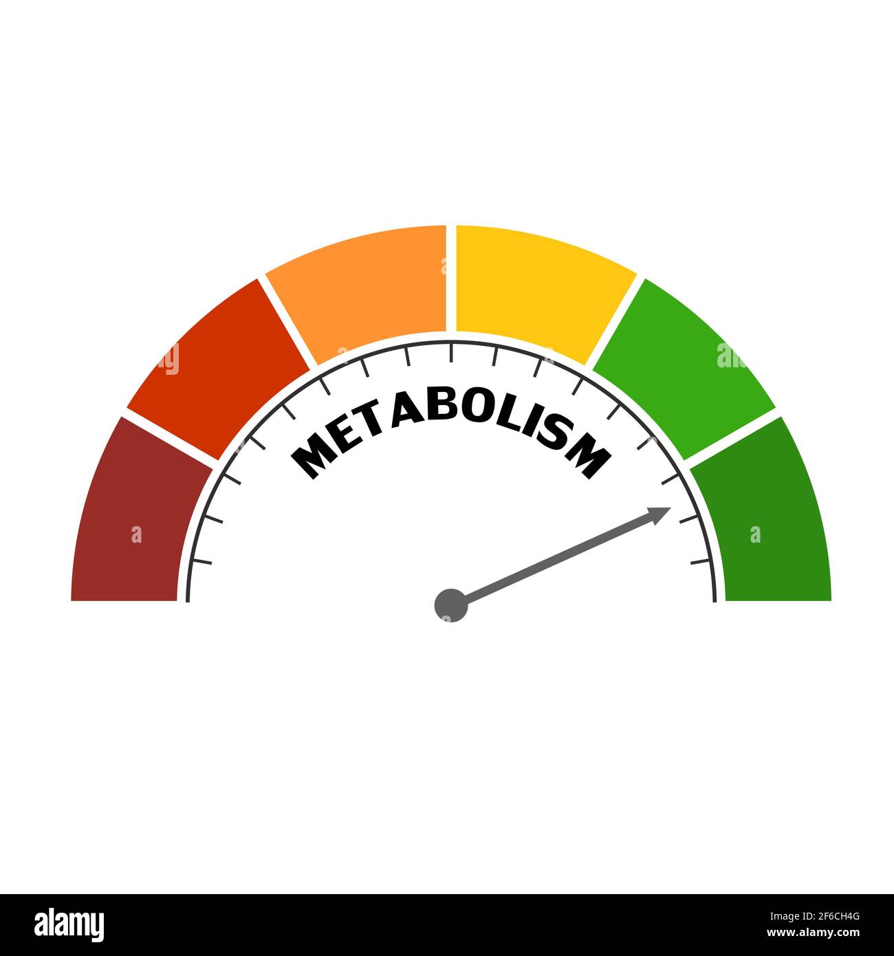 Metabolism level scale with arrow. The measuring device icon. Sign ...