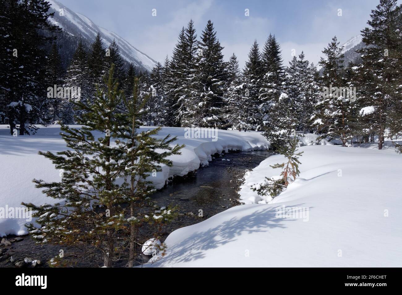 Galbe hi-res stock photography and images - Alamy