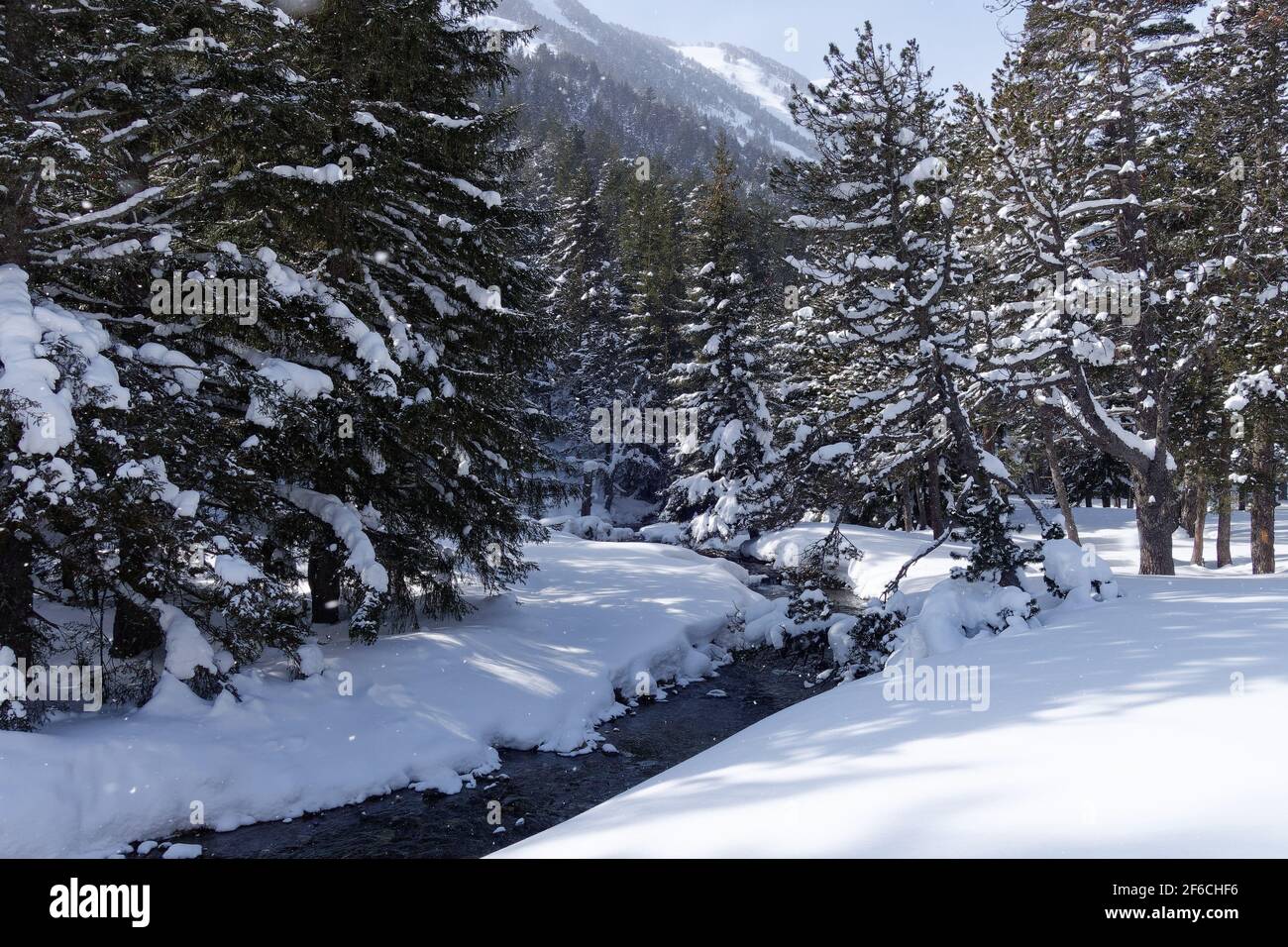 Galbe hi-res stock photography and images - Alamy