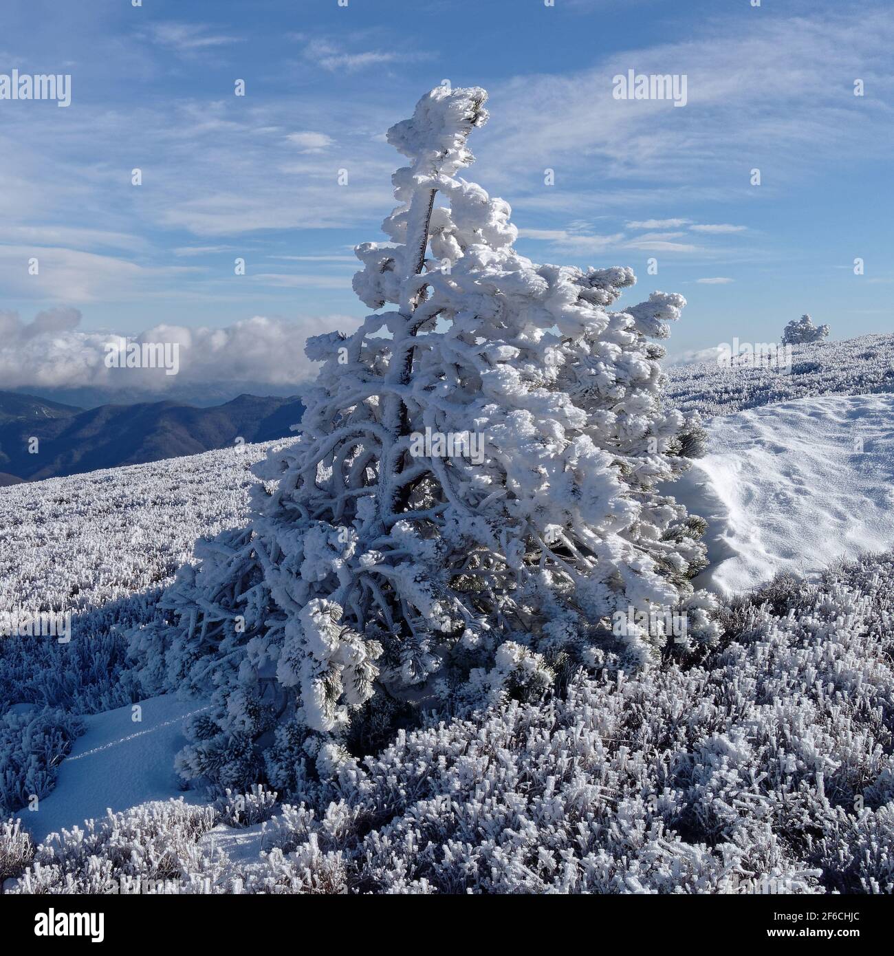 Snowy landscape in Pyrenees mountains (France Stock Photo - Alamy