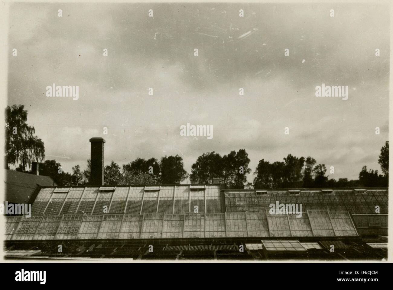 Hässleholms plant depot Stock Photo - Alamy