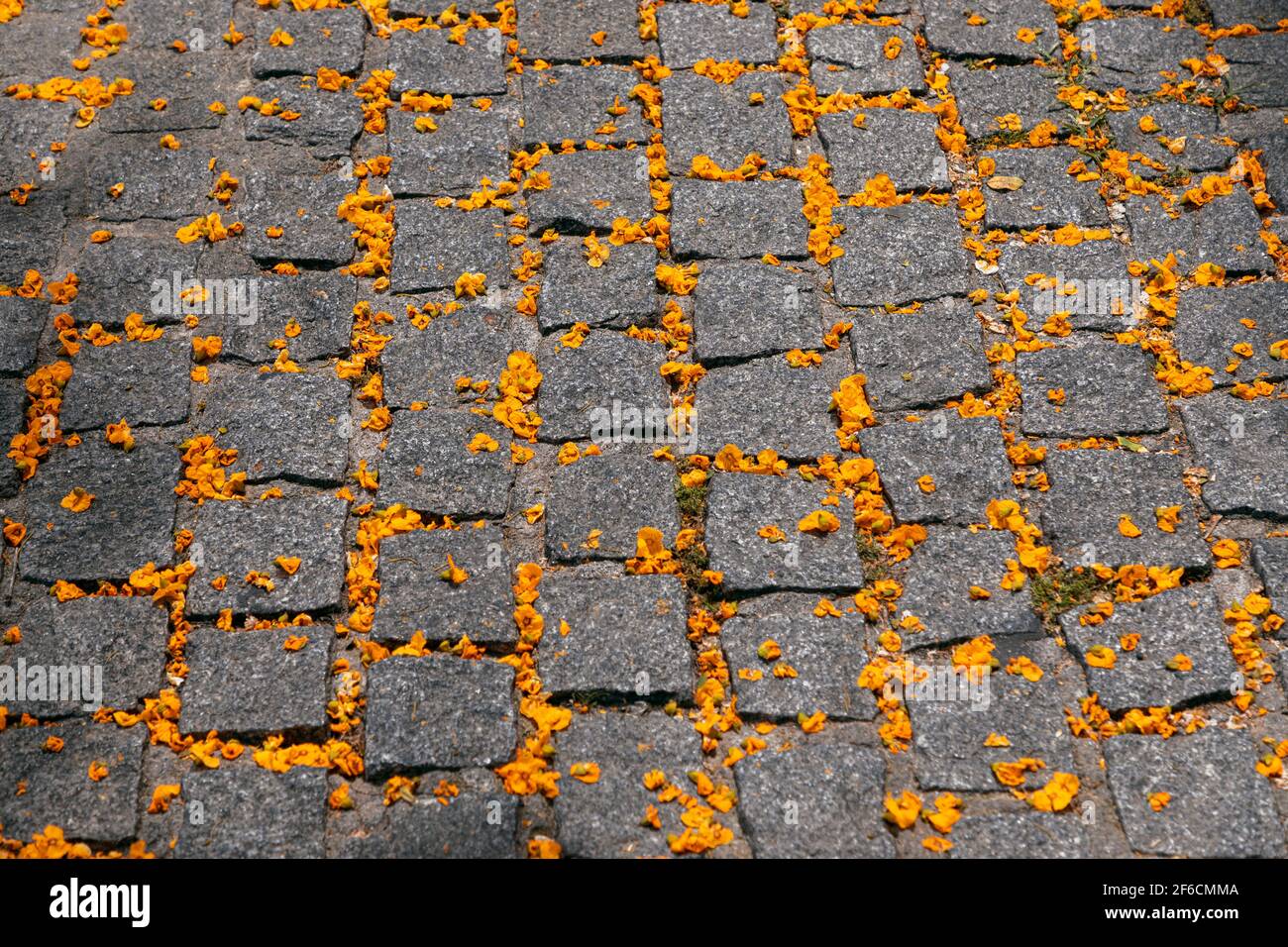Cobbled paving pattern hi-res stock photography and images - Alamy