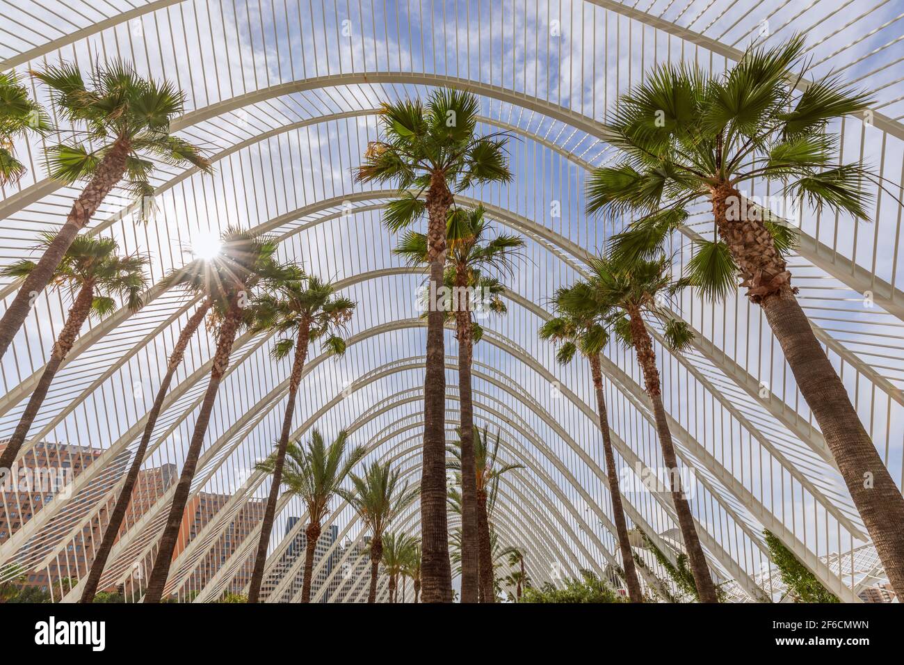 Inside of The Umbracle in the City of Arts and Sciences by Santiago ...
