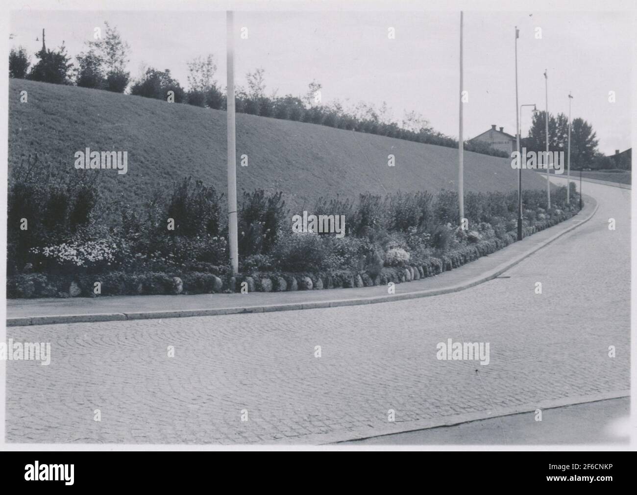 Planting at Östersund station. Name of some plants, Aeonium Arborum ...
