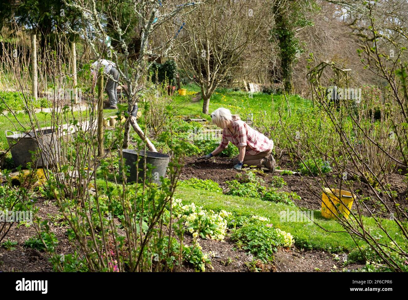 Weeding beds hi-res stock photography and images - Alamy