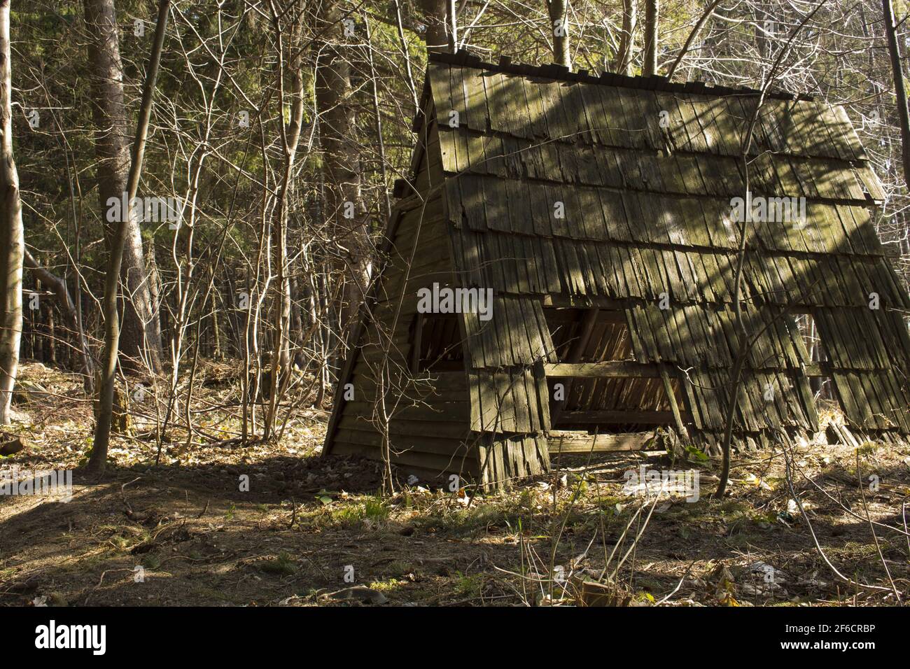 wooden shanty in forest Stock Photo - Alamy