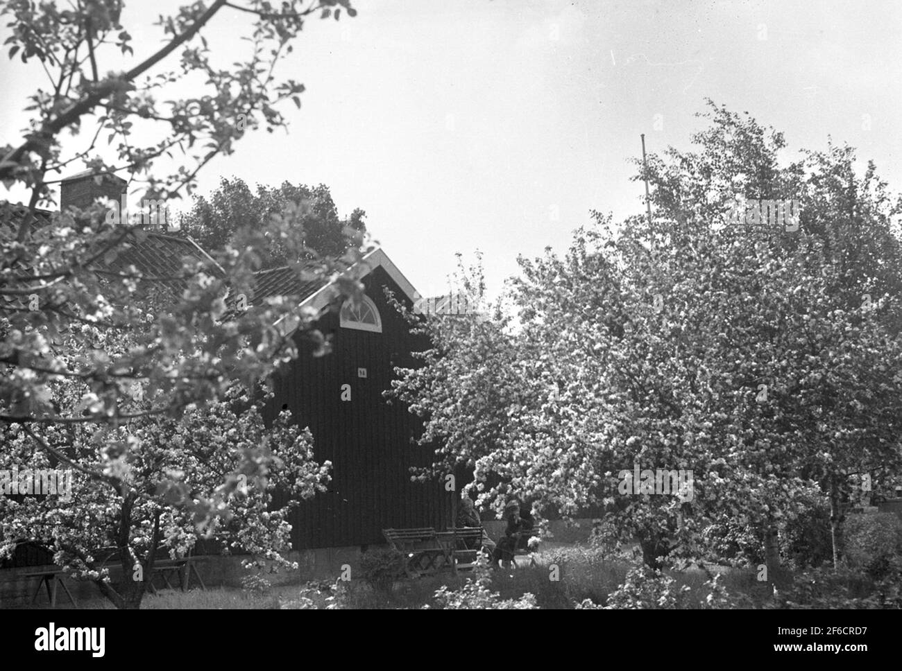 Home building solutions Black and White Stock Photos & Images - Alamy