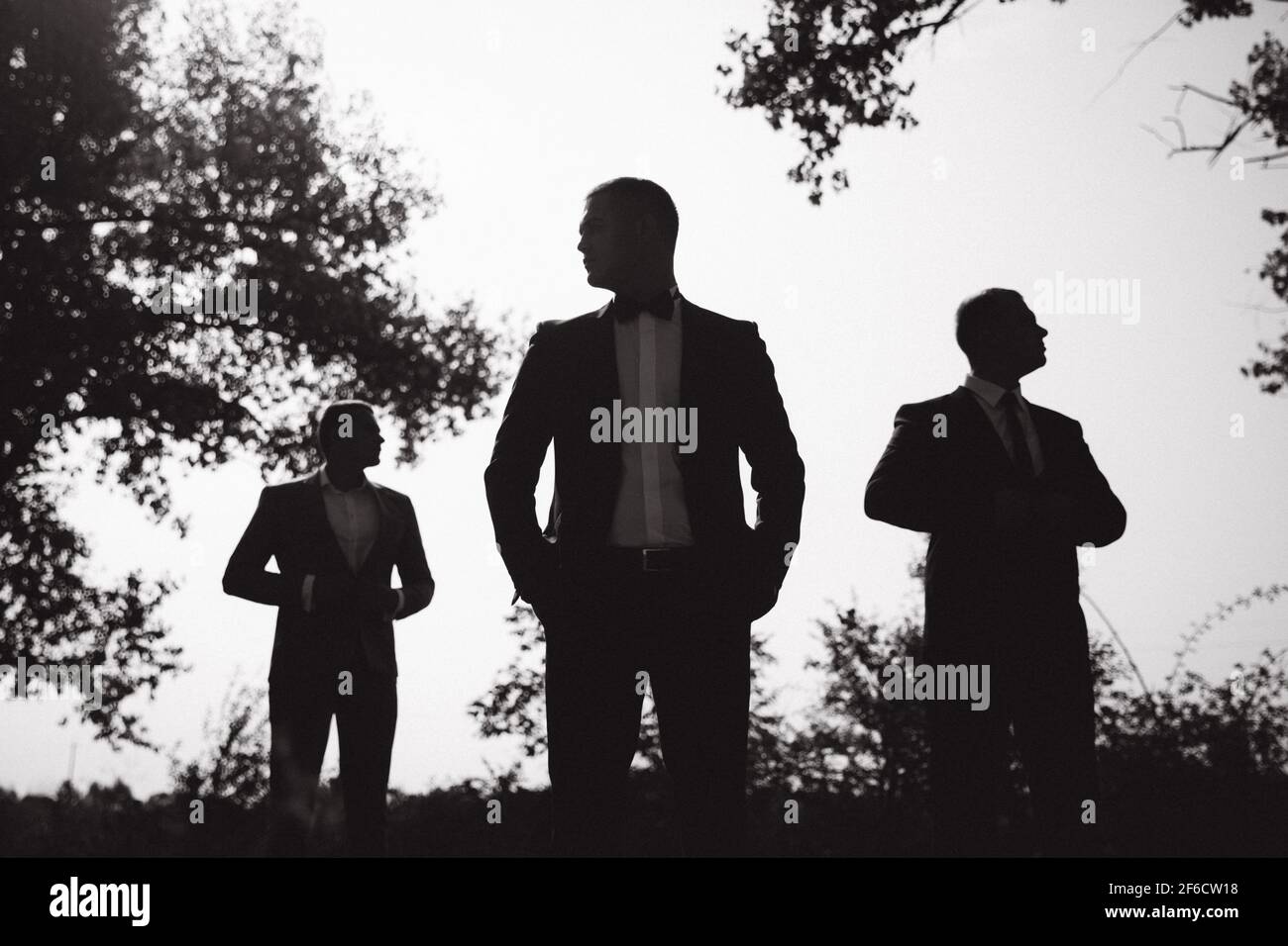 Silhouette of tree man in suit outside Stock Photo - Alamy