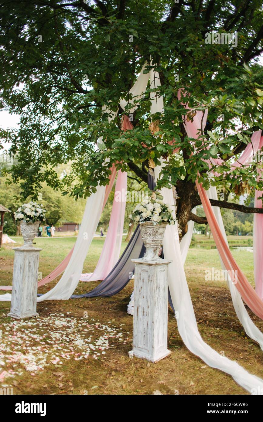 Big tree decorated for wedding ceremony outside Stock Photo - Alamy