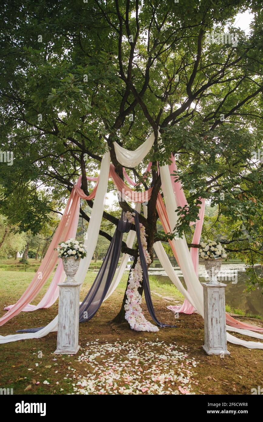 Big tree decorated for wedding ceremony outside Stock Photo - Alamy