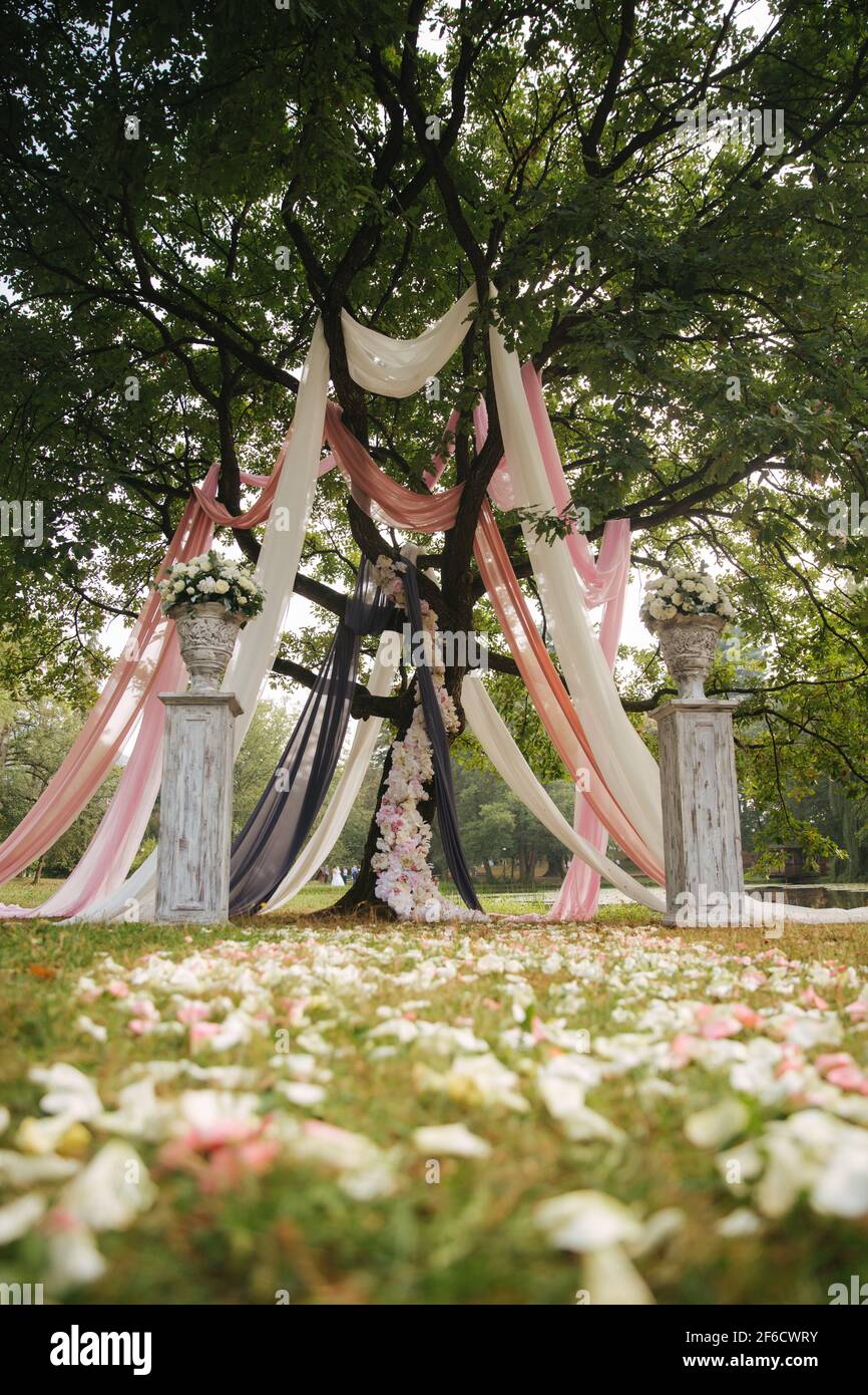 Wedding arch decorated with flowers and green leaves hi-res stock ...