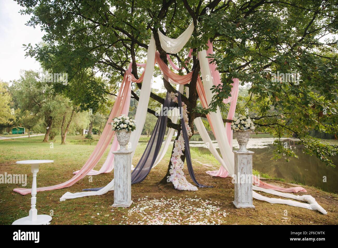 Big tree decorated for wedding ceremony outside Stock Photo - Alamy