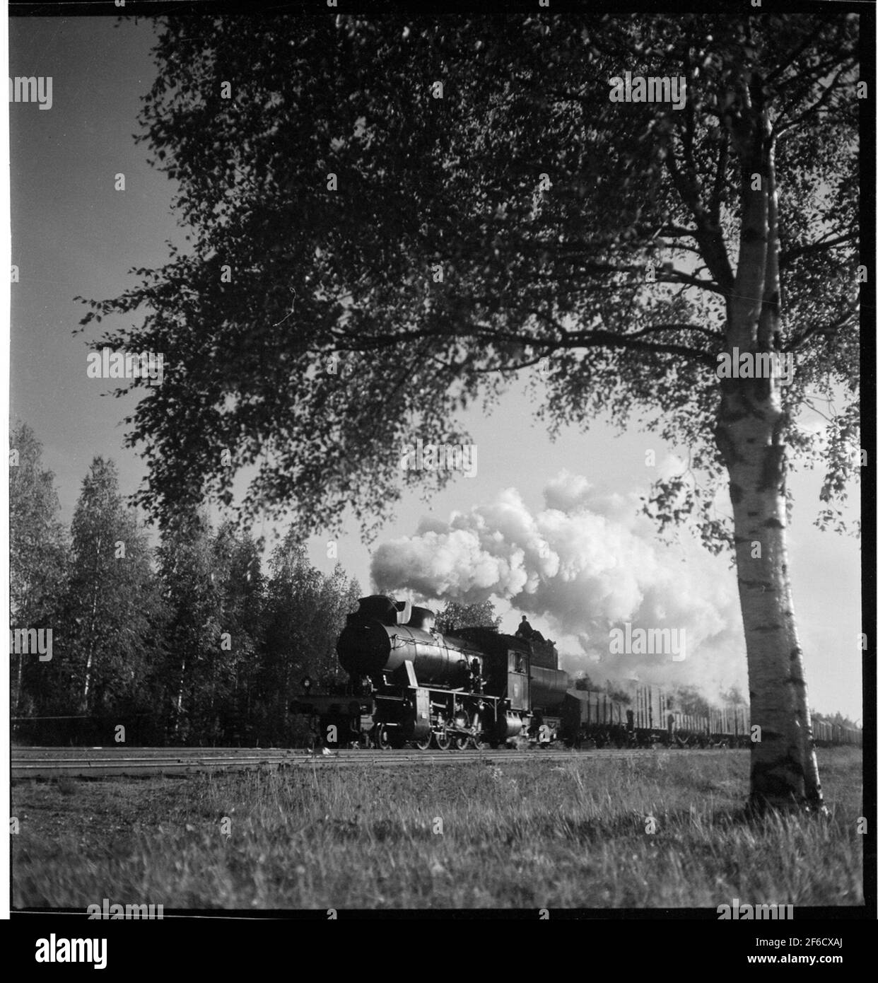 Steam locomotive with freight train Stock Photo - Alamy