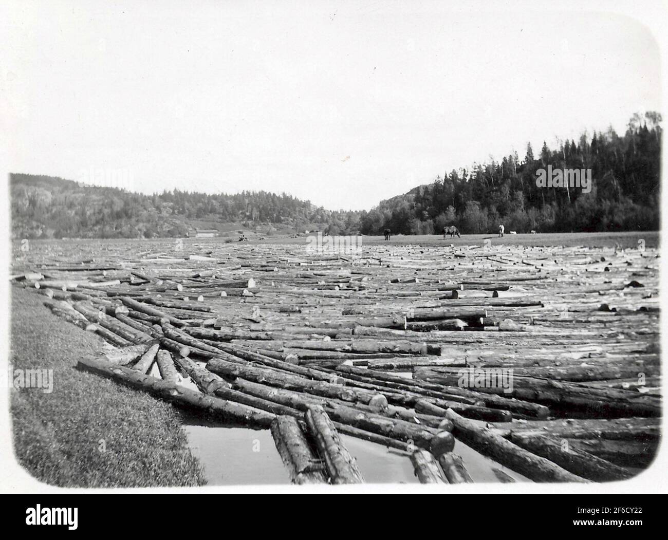 Timber float at the earpiece river Stock Photo - Alamy