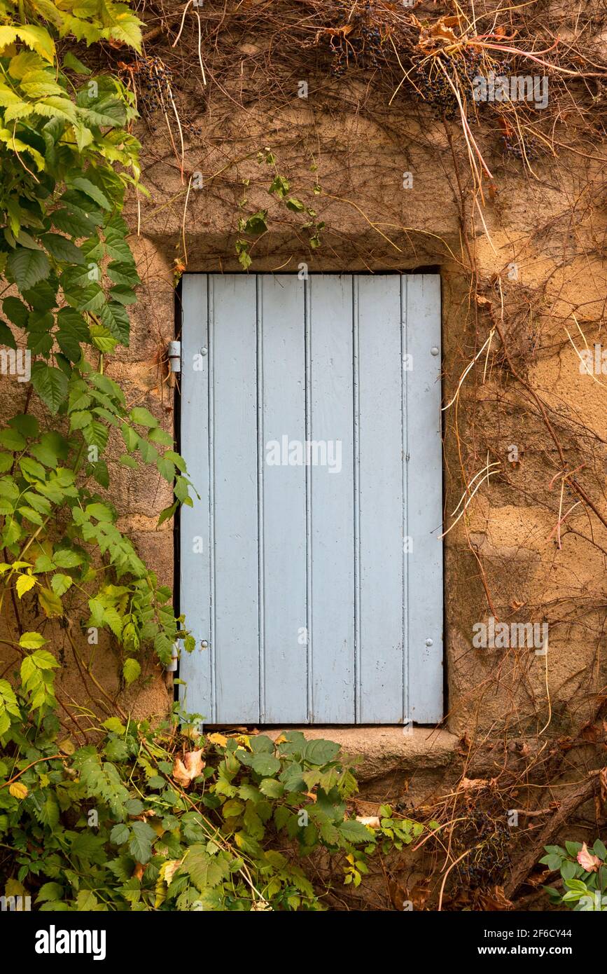 Closed window with grey shutters on brown wall with green leaves Stock ...