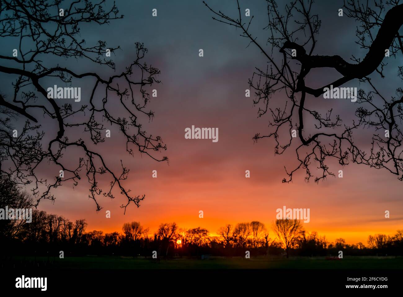 Beautiful sunset at Beddington Par, Croydon, UK Stock Photo - Alamy