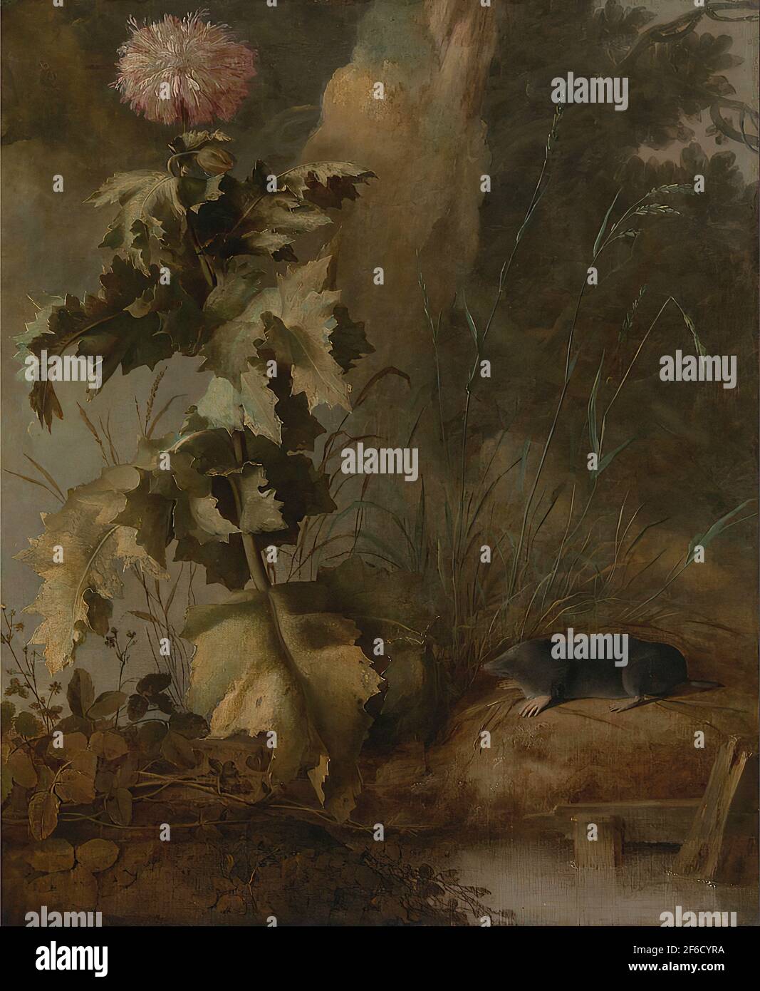 John Crome - an Egyptian Poppy Water Mole 1812 Stock Photo - Alamy