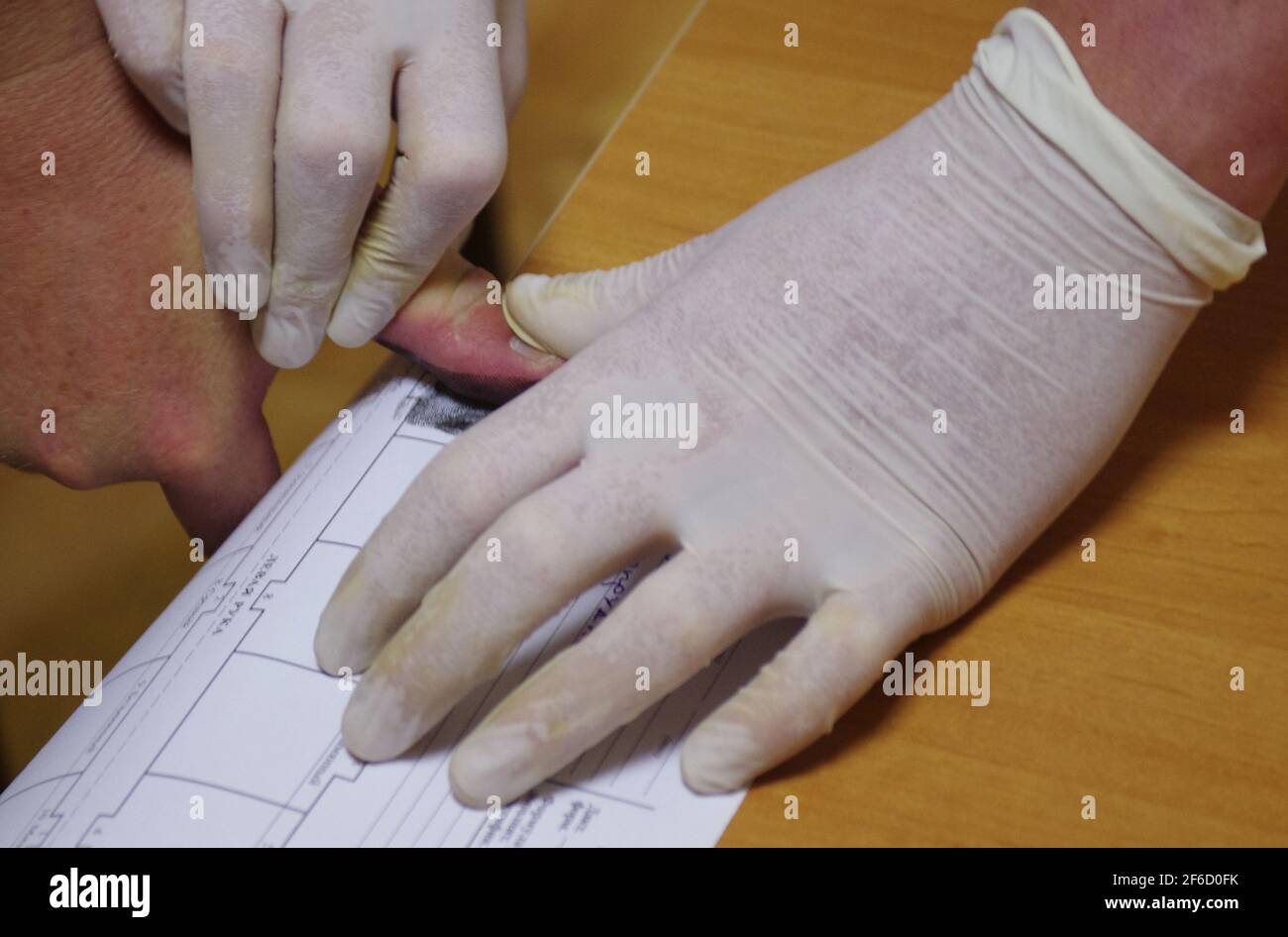 A police officer wearing rubber gloves takes a fingerprint of a suspect ...