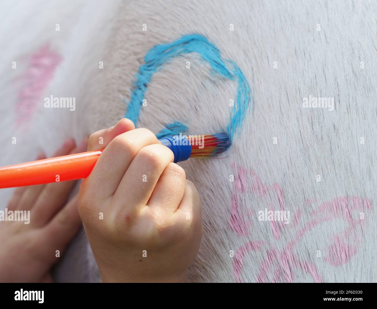 Paint pony hi-res stock photography and images - Alamy