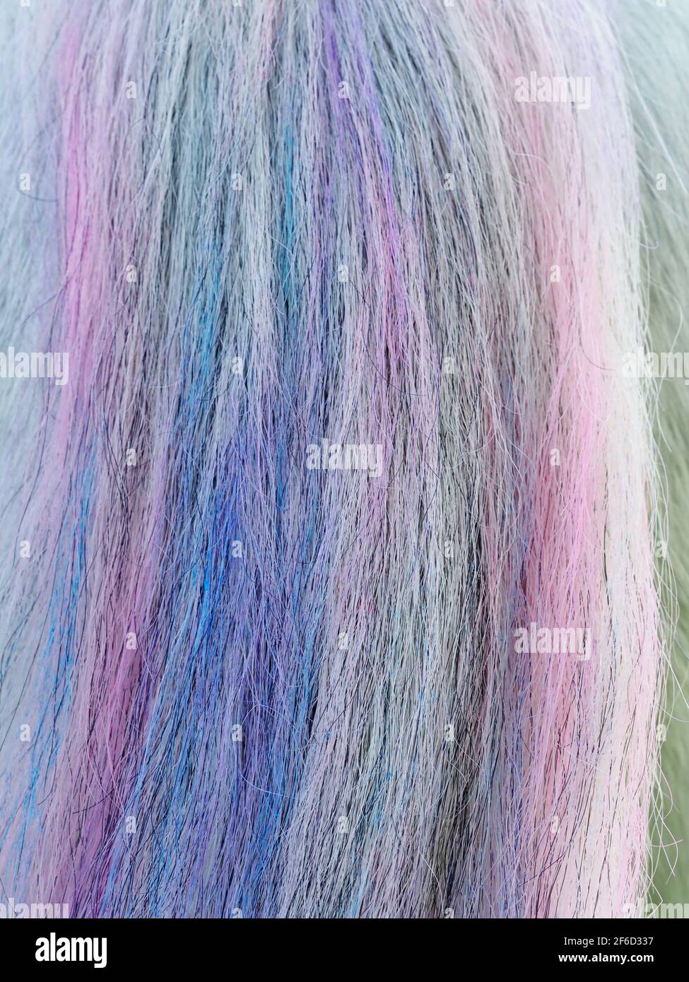 Paint pony hi-res stock photography and images - Alamy